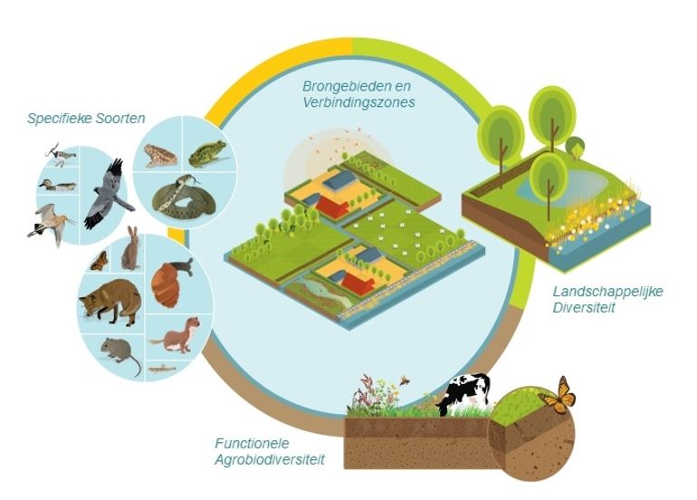 Nature Today | Met de Biodiversiteitsmonitor op weg naar natuurherstel